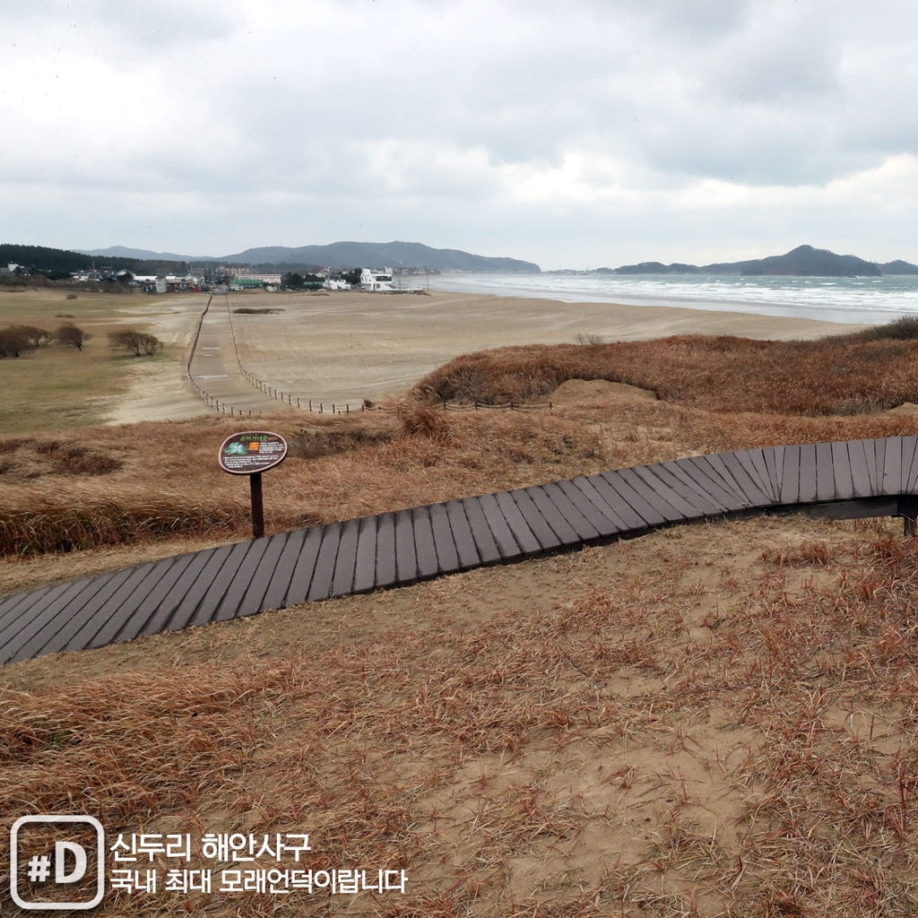 OTOT , 오티오티, 언론 Portal